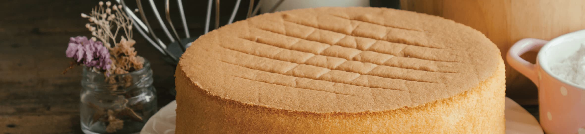 Biscamix Pandispanya Miksleri I Pastacılık Ürünleri - Zeelandia